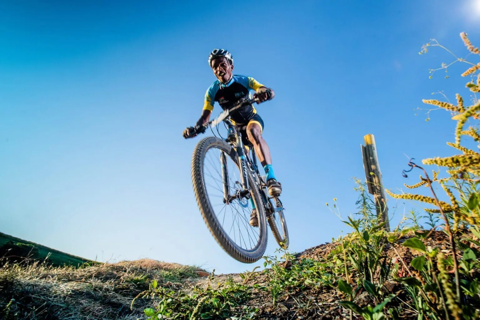 ATTRACTIONS - Sugar Rush Park