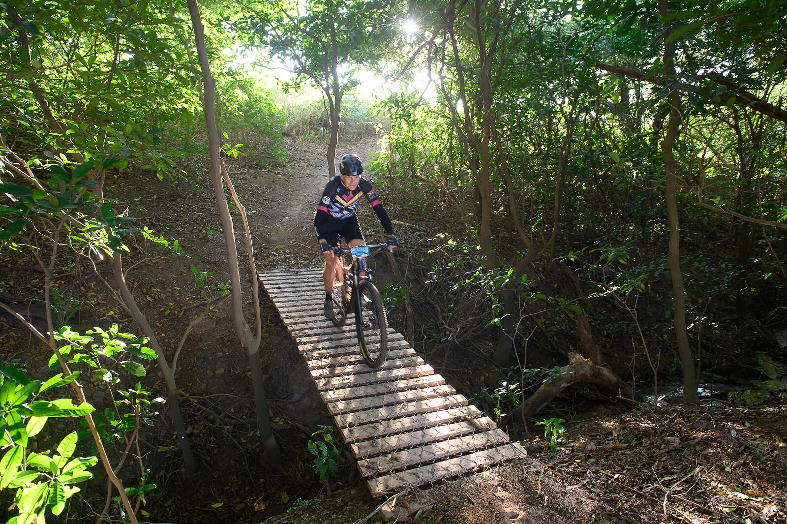 ATTRACTIONS - Sugar Rush Park